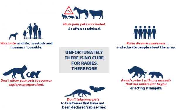 Rabies: Diagnosis, Prevention & The Value Of Vaccination - PetlifeSA