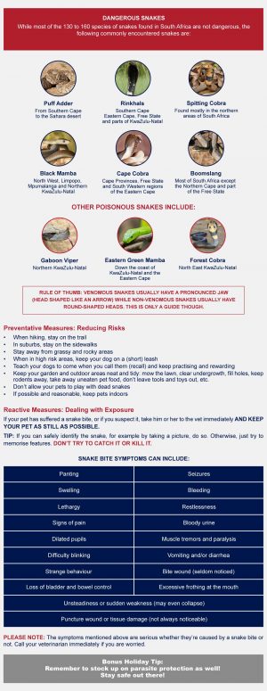 The Responsible Pet Owner’s Guide For Snake Season - PetlifeSA