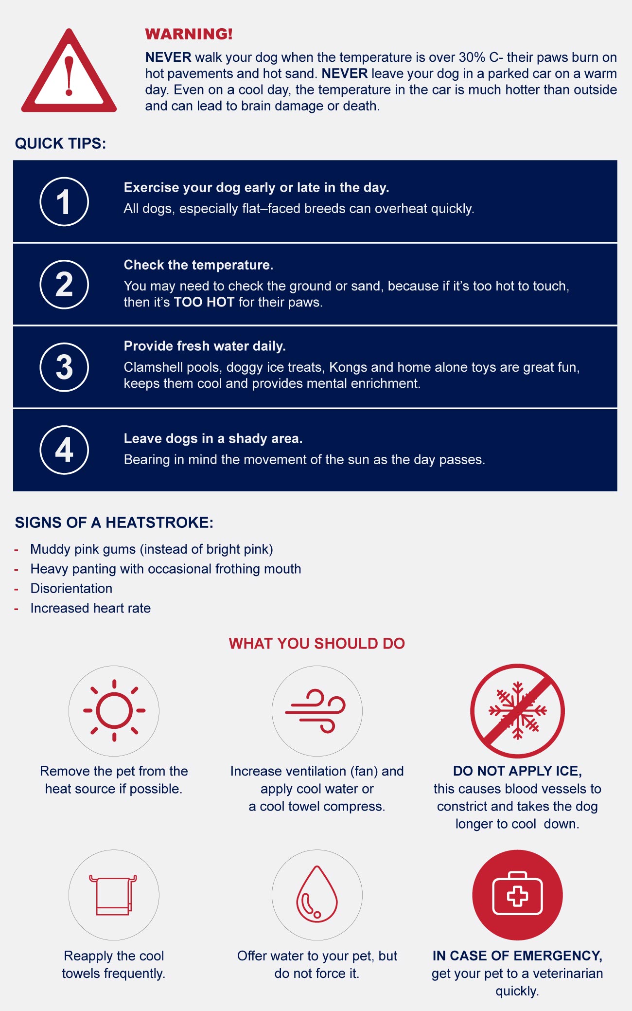 Summer Safety - PetlifeSA