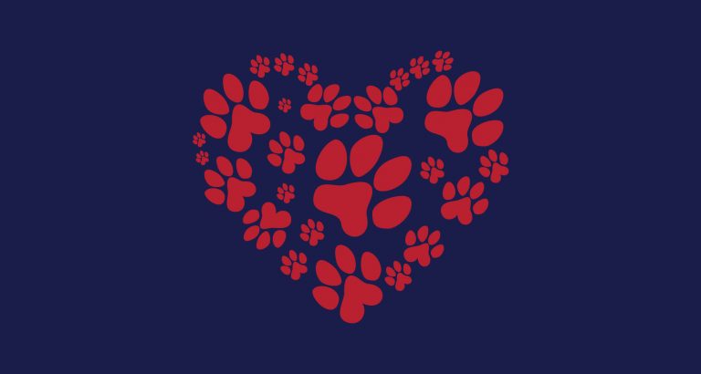 Facts About A Dog’s Heart - PetlifeSA