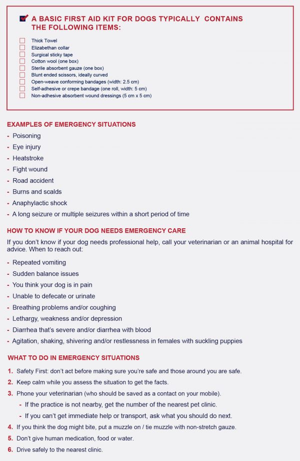 Basic First Aid For Dogs Part 1: First Aid Kit & Emergencies Overview ...