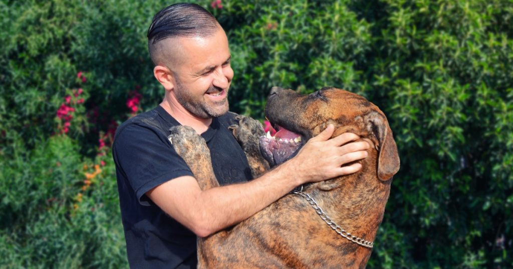 Ways To Celebrate Being A Pet Dad - PetlifeSA