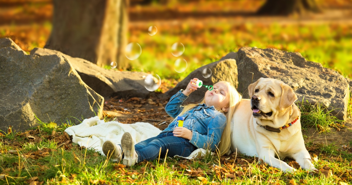 Fun Ways To Spend Best Friend’s Day With Your Dog - PetlifeSA