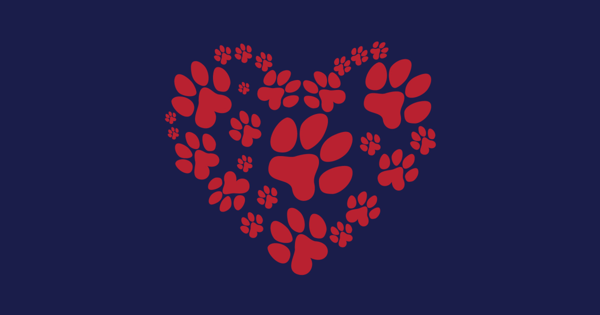 Facts About A Dog’s Heart - PetlifeSA