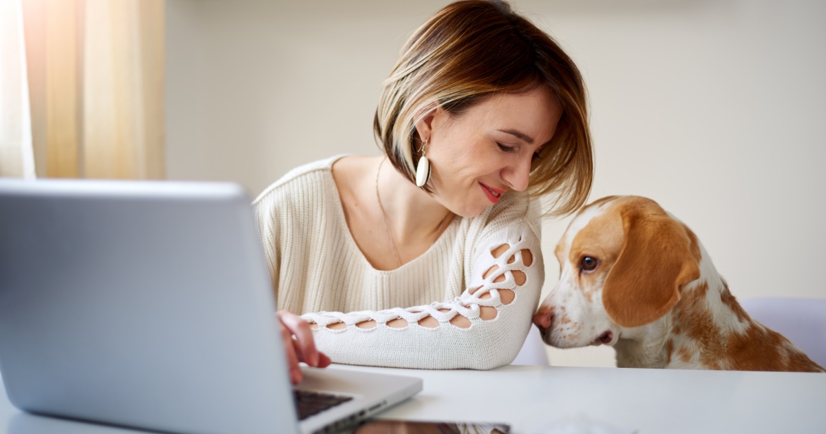 Pet Etiquette In The Workplace - PetlifeSA