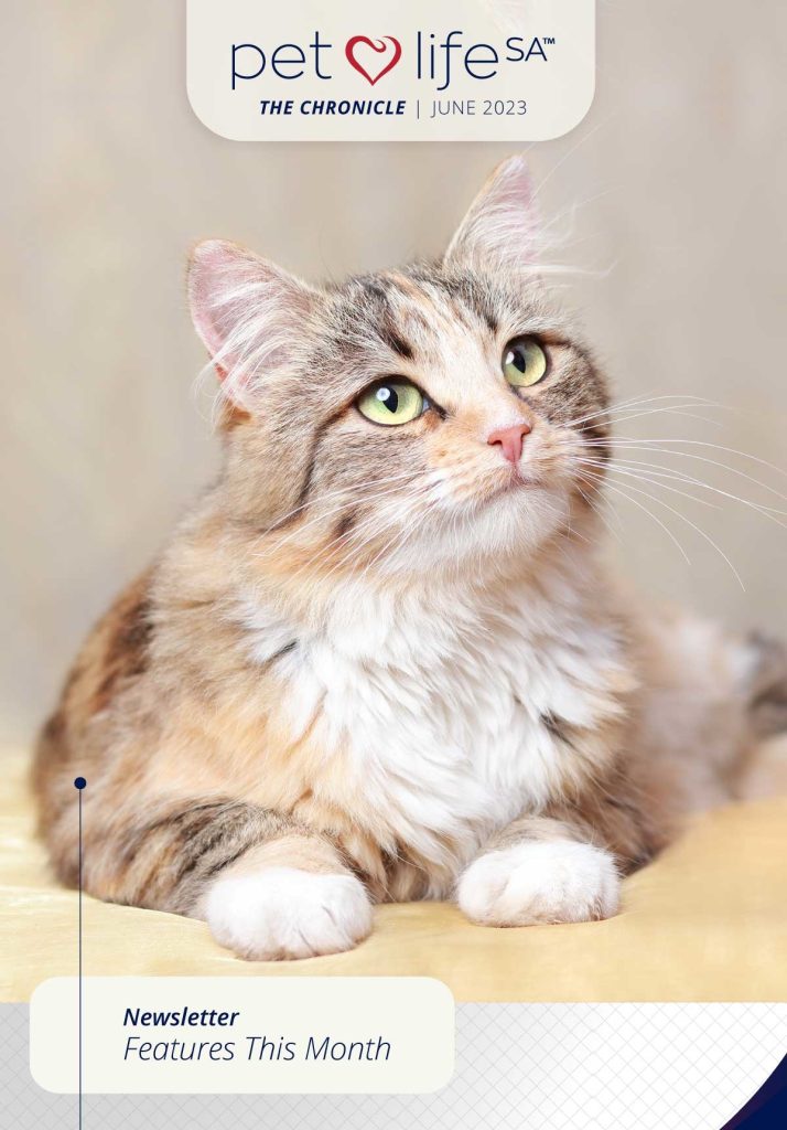 The Chronicles - Pet Health Resource for Pet Owners | PetlifeSA™