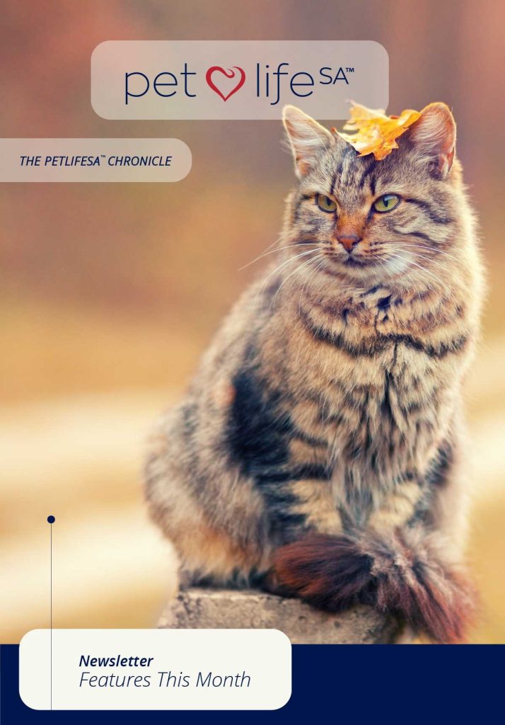 The Chronicles - Pet Health Resource for Pet Owners | PetlifeSA™