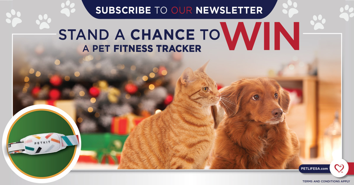 WIN a Fitness and Activity Tracker | PetlifeSA™